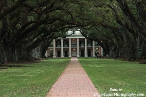 Things to do in Baton Rouge - Backpacking Diplomacy