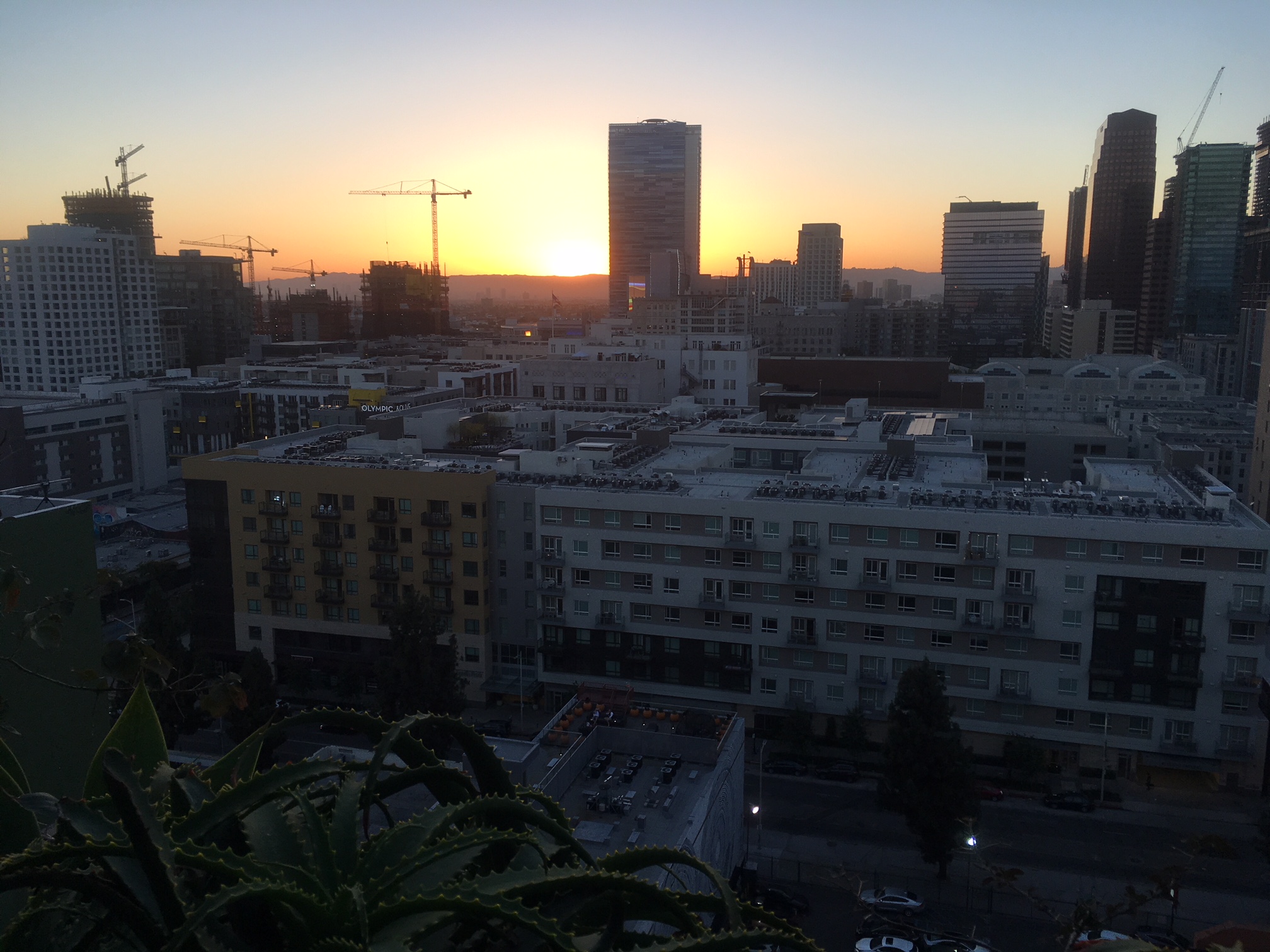 Things to do in LA this weekend List - Backpacking Diplomacy